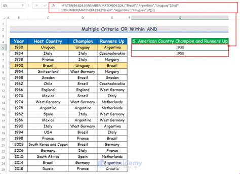 How To Filter With Multiple Criteria In Excel Easy Ways