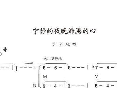 宁静的夜晚沸腾的心 赵景春 歌谱 简谱