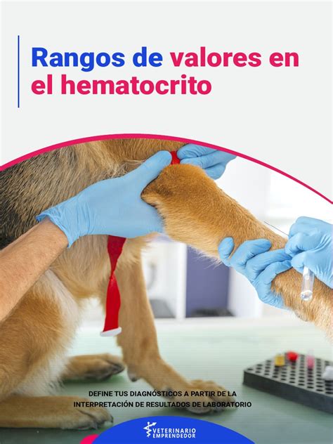 rangos de valores en hematrocitos pdf