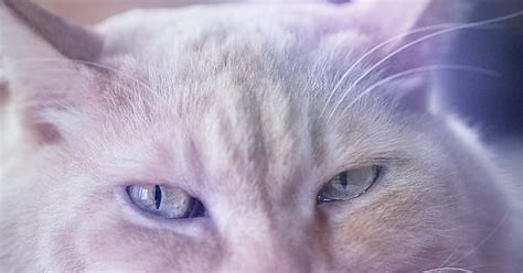 Im Not Up To Typing Much And Sending Dms Is A Bit Of A Task Too But