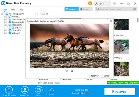 10 Solutions To External Hard Drive Not Detected Issue Bitwarsoft