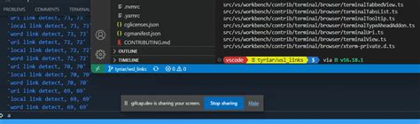 Terminal Freeze Lag With File Paths Issue Microsoft Vscode Github