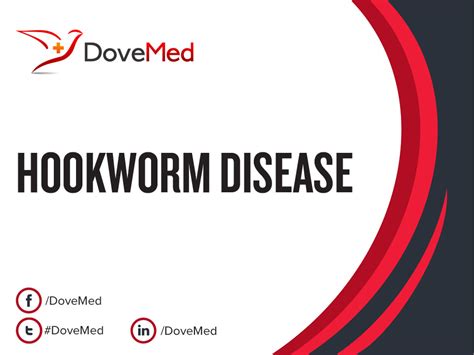 Hookworm Disease