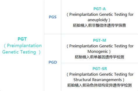 一文看懂试管婴儿名词pgt Apgt Mpgspgdngs 知乎