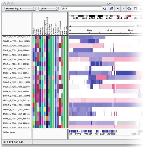 The Attribute Panel Displays A Color Coded Matrix Of Phenotypic And