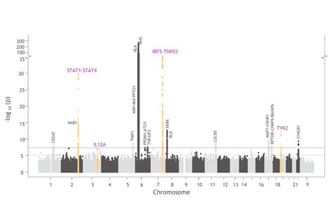 Tyk2 Tyrosine Kinase 2 Pathway