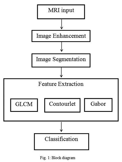 Cervical Cancer Detection And Classification Using Texture Analysis Biomedical And