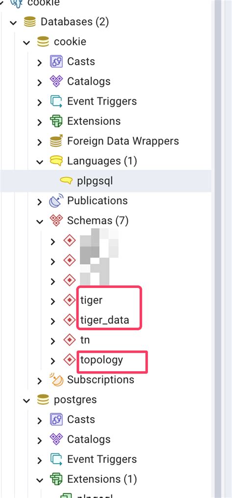 tiger tiger data topology schema appears after installing postgis r