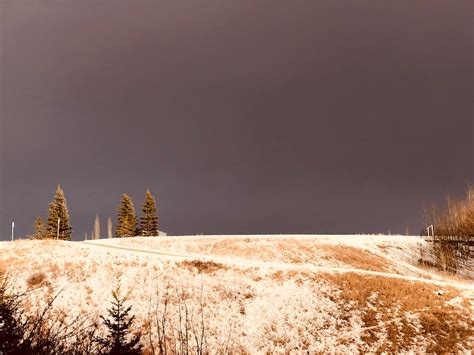 D Arcy Norman D Arcy Norman