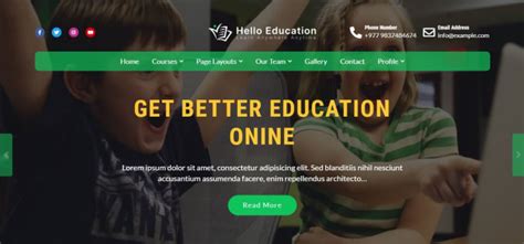 Create Elementor Pro Wordpress Site And Fix Issues By Designbyubaid