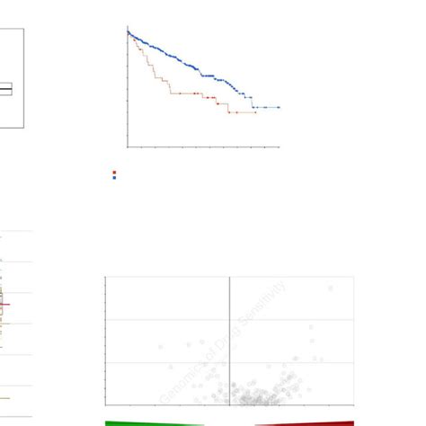 Mutations Of Bap1 Are Associated With Kirc Prognosis And Drug