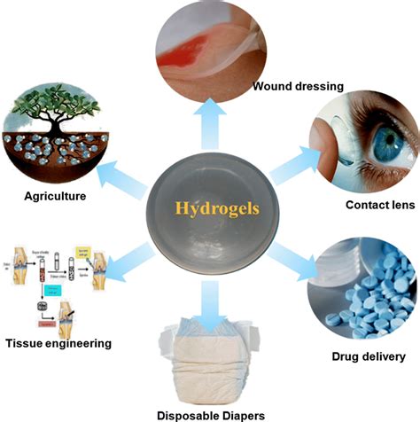 Applications Of Hydrogels In Potential Technological Fields Download