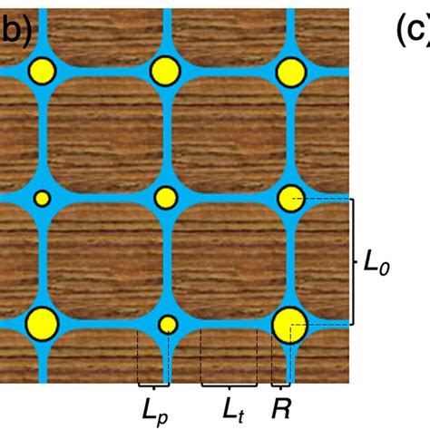 A Direct Numerical Simulation Result Of Concentration Field During