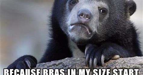 Big Boob Problems Meme On Imgur
