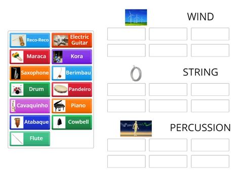 Classify The Instruments Group Sort