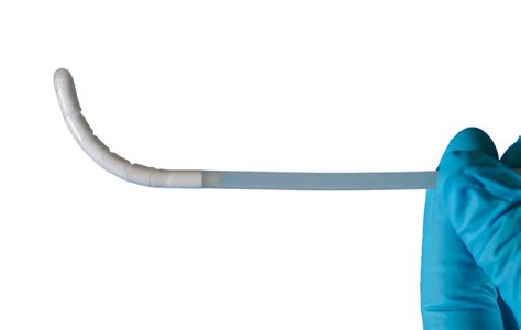 Understanding Airway Anatomy For Intubation