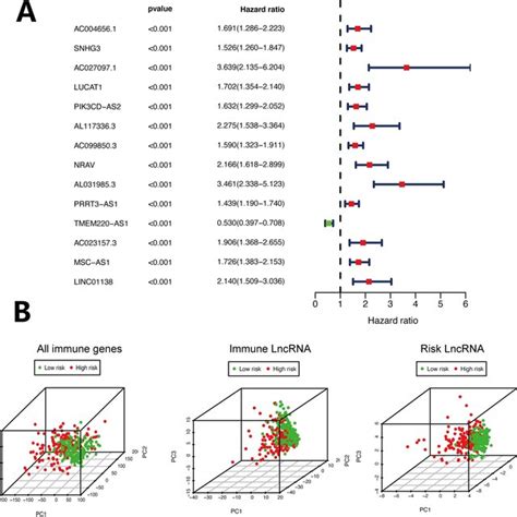 Acquisition Of Immune Related Risk Long Non Coding Rnas Lncrnas And