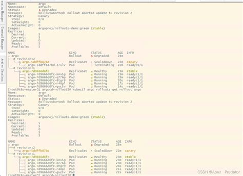Argo Rollout使用argo Rollouts Csdn博客