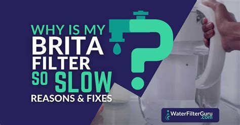 Why Is My Brita Filter So Slow Top 6 Reasons Explained