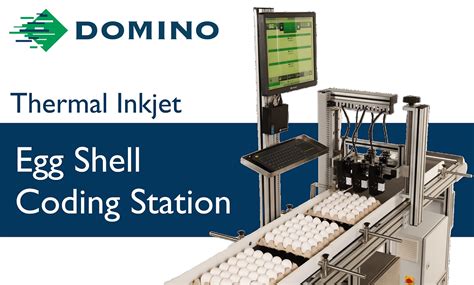Tij Egg Shell Coding Station Revolutionizing Egg Production With Efficient High Quality Coding