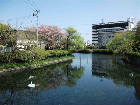 西日本最高峰の石鎚山に抱かれた水の都・西条市の観光スポット