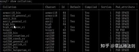 Mysql基础篇02 字符集and校对集 知乎