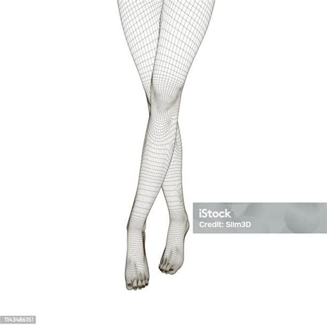 날씬한 교차 한 여성 다리의 와이어 프레임 전면 보기 다각형 여성 다리 3d 벡터 일러스트 여자에 대한 스톡 벡터 아트 및 기타