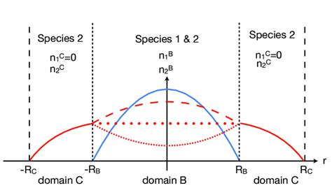 Schematic Representation Of The Atomic Density Distributions In The Download Scientific