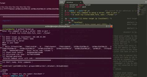 Format String Exploits Defeating Stack Canary Nx And Aslr Remotely On