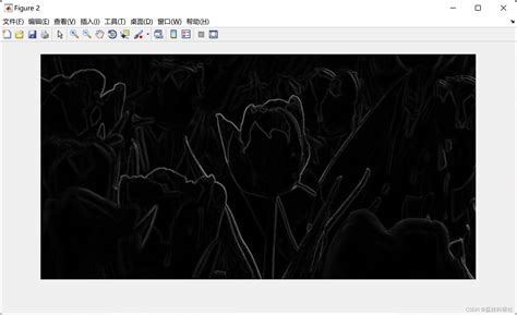 基于多尺度形态学梯度进行边缘检测（matlab代码实现） Csdn博客