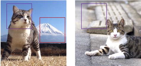 Figure 1 From Mixer Based Semantic Spread For Few Shot Learning Semantic Scholar