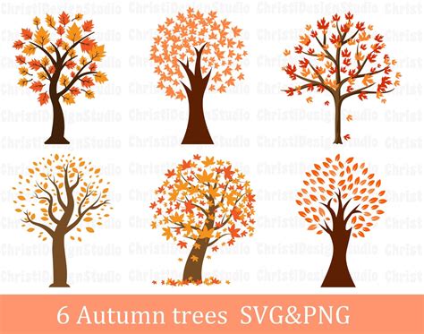 Fall Tree Bundle Tree Svg Autumn Tree Svg Tree Clipart Tree Png Autumn Leaves Svg Fall