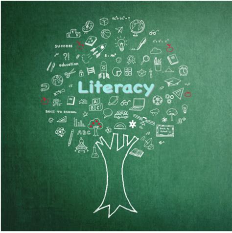 Report On State Of Foundational Literacy And Numeracy In India