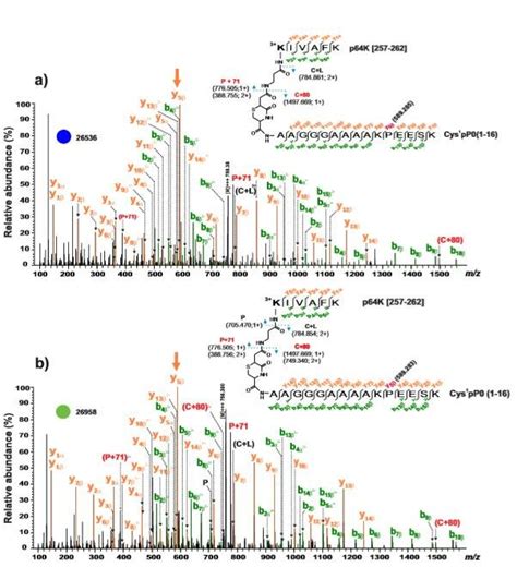 The Ms Ms Spectra Shown In A And B Correspond To The Precursors Download Scientific Diagram