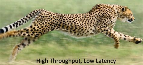 Flex Logix Closes 55m In Series D Financing Accelerates Ai Inference