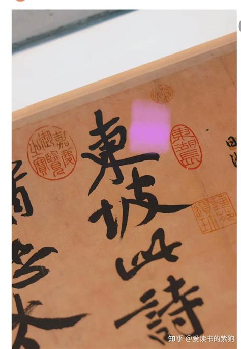 心似已灰之木身如不系之舟问汝平生功业黄州惠州儋州宋苏轼自题金山画像 知乎