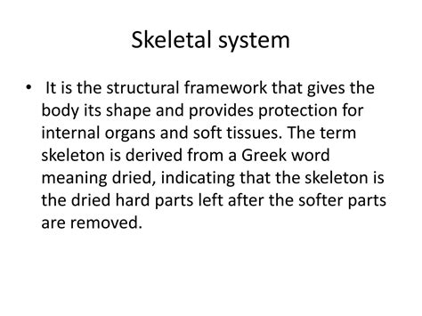 SOLUTION Skeletal System Studypool