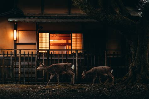 Clarity And Composition Make Tokyo Pop In Photographer Billy Wus City Series Plain Magazine