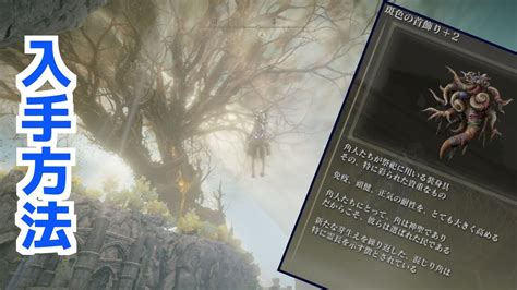 【elden Ring】斑色の首飾り2の入手方法【エルデンリング】 Youtube
