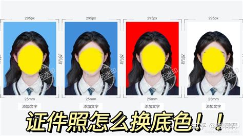 白底照片有什么用证件照底色用途讲解大全 知乎