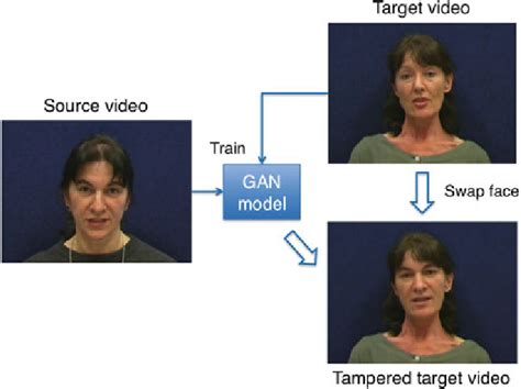 1 process of generating deepfake videos download scientific diagram