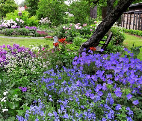 Цветоводство для Начинающих в Москве · Курсы · SHAD