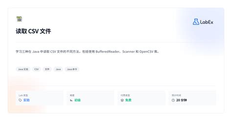 如何在 Java 中读取 Csv 文件 Labex