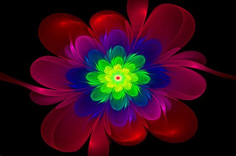 Fractal Flower Art