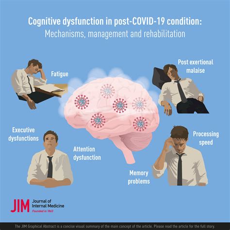 Cognitive Impairment Cognitive Dysfunction In Older Adults With Type 2
