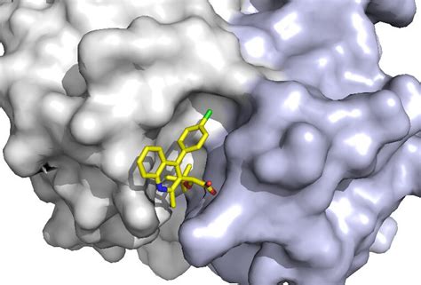 Representation Of Compound 16 Bound To The Catalytic Core Domain Of Hiv Download Scientific