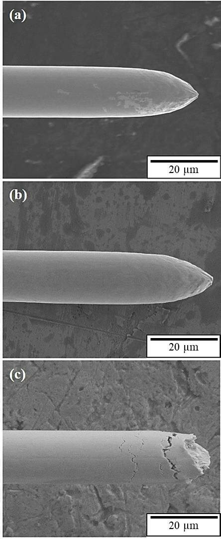 Tensile Fracture Surface Of The Apap Wire At Different Chlorination