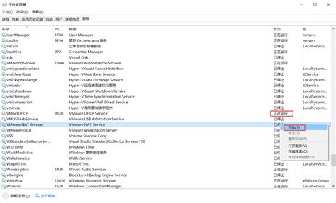 ubuntu虚拟机不显示ipv4地址 （虚拟机无法连接网络） yangrourou 博客园