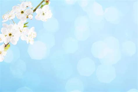 봄 스톡 사진 로열티 프리 봄 이미지 Page 5 Depositphotos